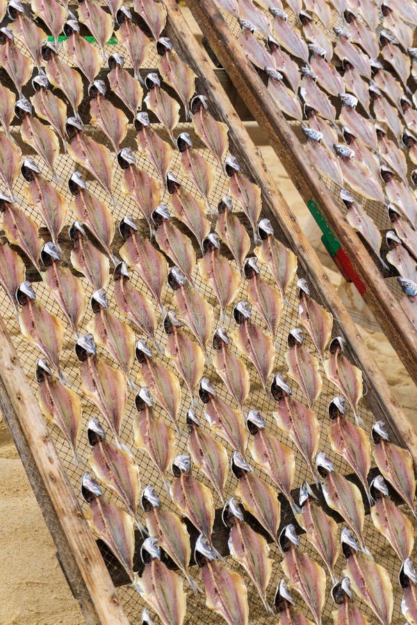 Gutted Fish is Dried on a Metal Mesh Background Stock Image - Image of ...