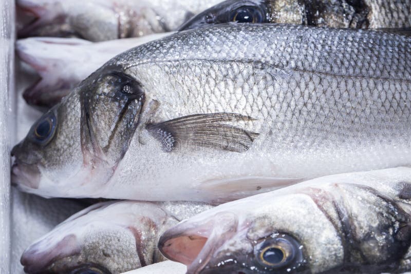 Gutted sea fish stock photo. Image of ingredient, omega - 29682162