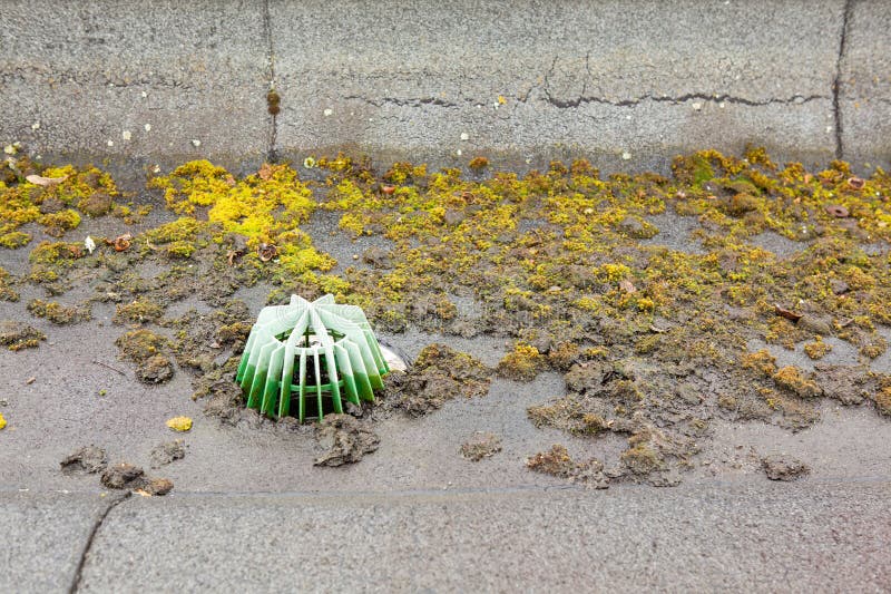 The Gutter is Blocked on a Flat Roof Stock Image - Image of ...
