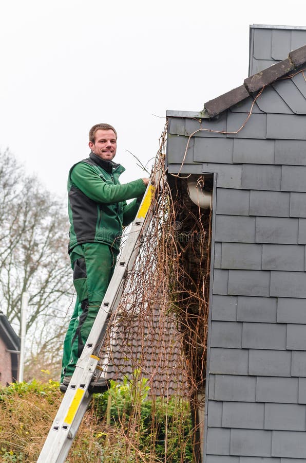 Gutter Cleaning stock photo. Image of cleanup, house - 52664658
