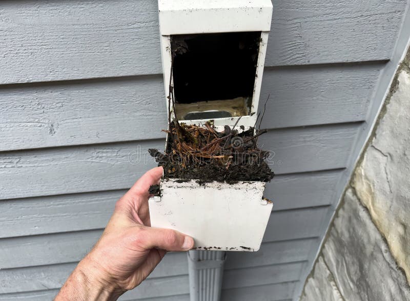 Gutter Drain Filter for Home Drainage System Stock Photo - Image of ...