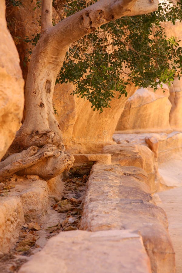 Gutter in Petra stock image. Image of rocks, cave, architecture - 36415505