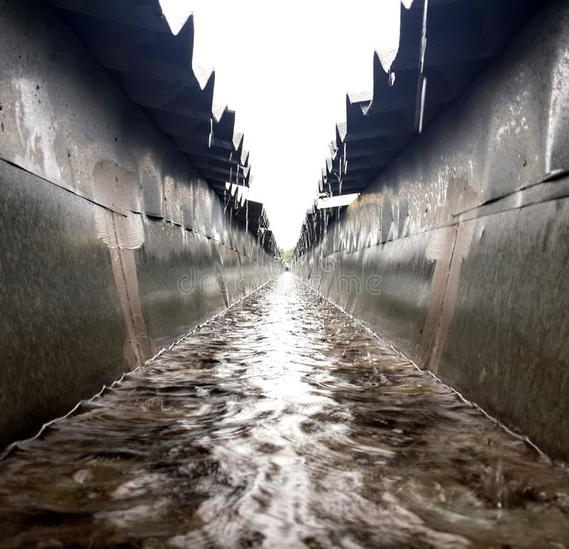 Straightcanal Stock Photos - Free & Royalty-Free Stock Photos from ...