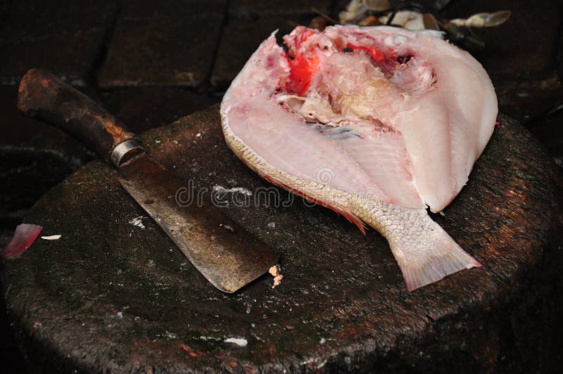 Man gutting fish stock image. Image of processing, organs - 6152883