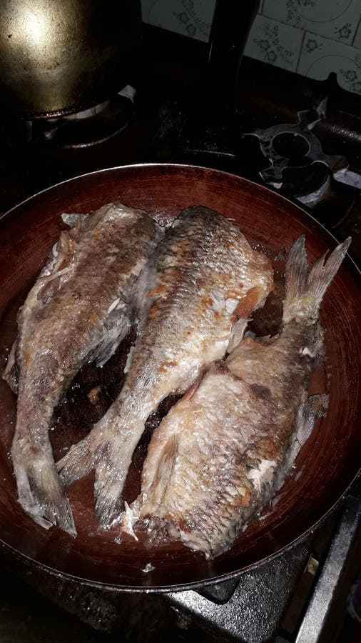 Gutting and Frying River Roach Fish Stock Image - Image of healthy ...