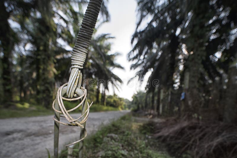 Guy Anchor Wire Balancing the Electric Pole by the Roadside. Stock ...
