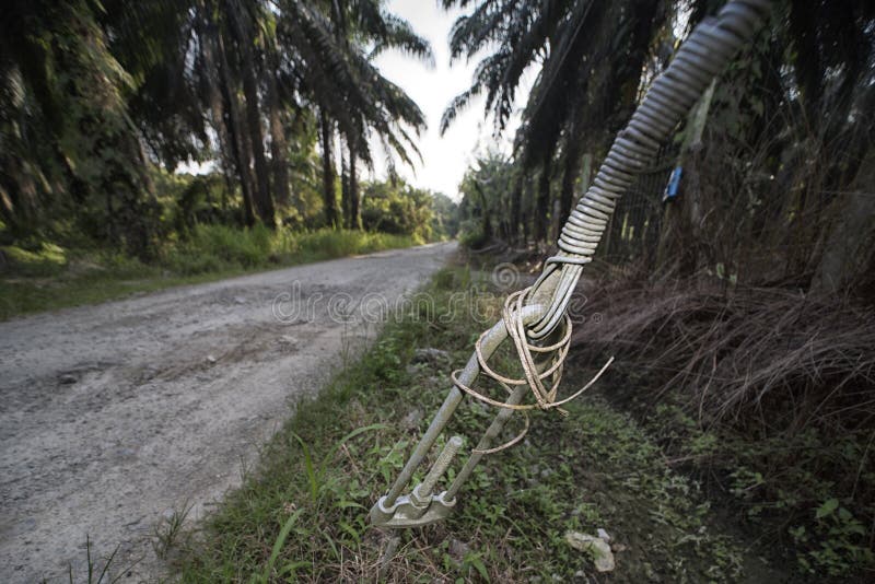 Guy Anchor Wire Balancing the Electric Pole by the Roadside. Stock ...