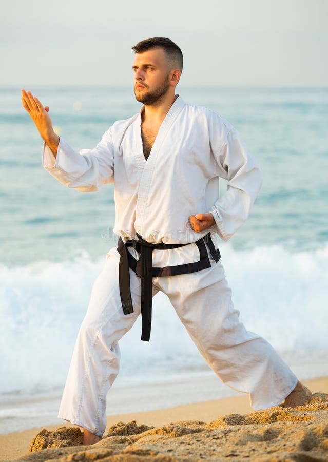 Guy doing karate poses stock image. Image of evening - 204441855