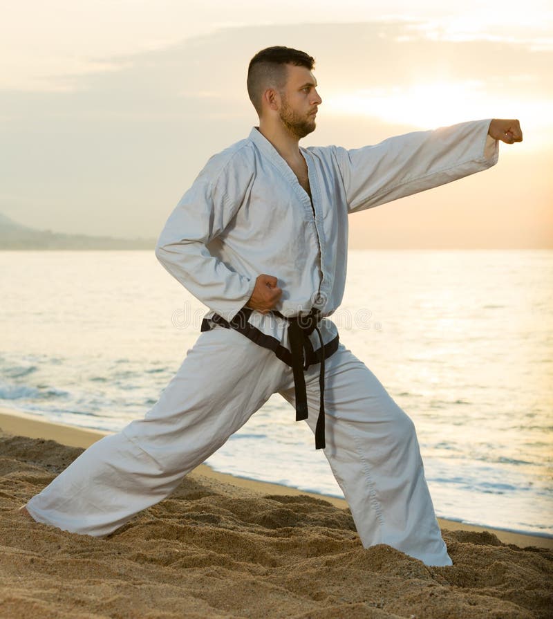 Guy doing karate poses stock photo. Image of professional - 204440808