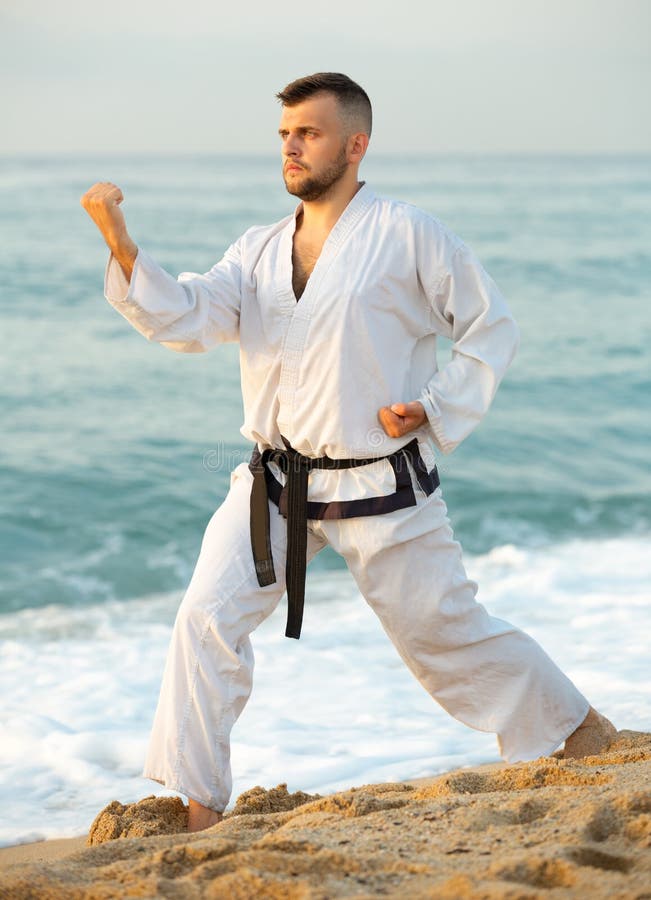 Guy doing karate poses stock photo. Image of jumping - 205506468