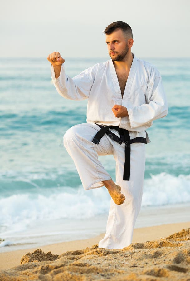 1,046 Karate Poses Stock Photos - Free & Royalty-Free Stock Photos from ...