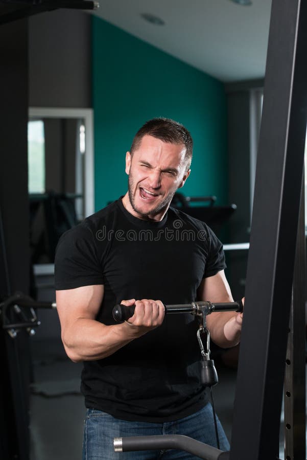 Guy Exercising Biceps in Gym Normal Imagen de archivo - Imagen de ...