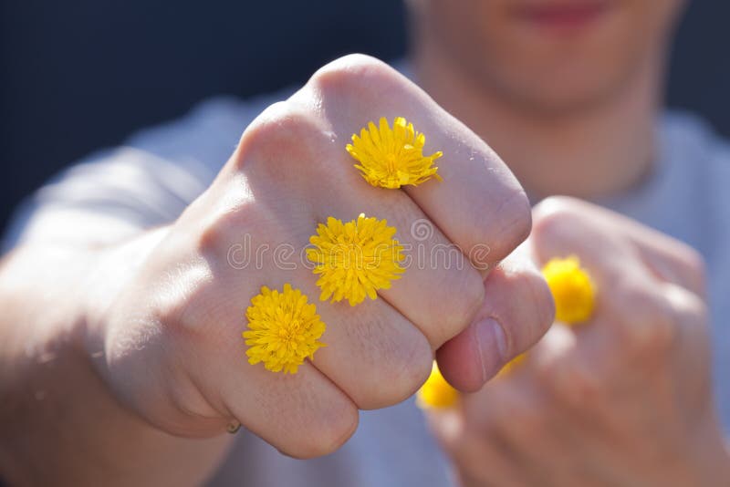 Guy Giving a Punch with Yellow Flowers Stock Image - Image of calmness ...