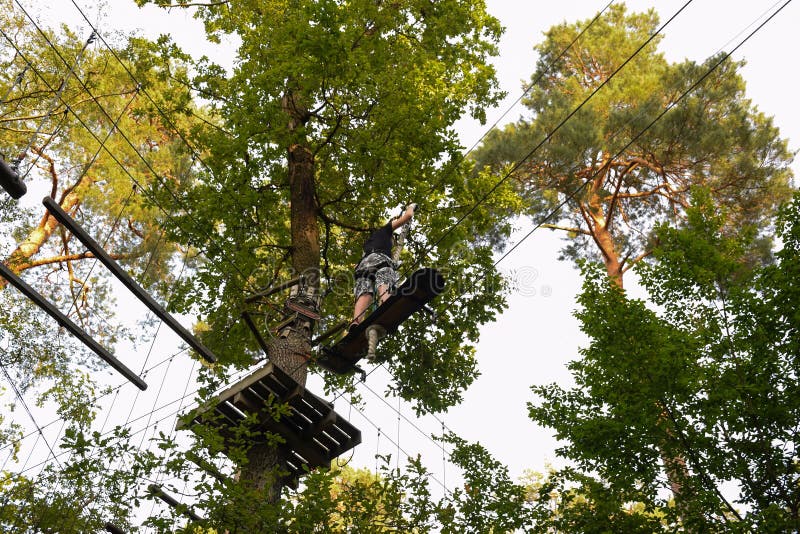 The Guy Goes through the Obstacle Course on the Rope Park Stock Image ...