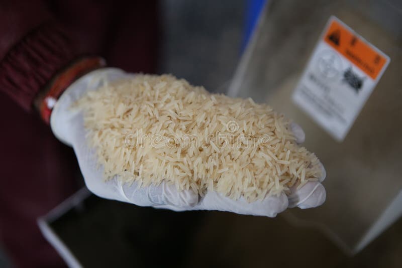 Guy Holding Basmati Rice on Hand at Rice Factory Stock Photo - Image of ...