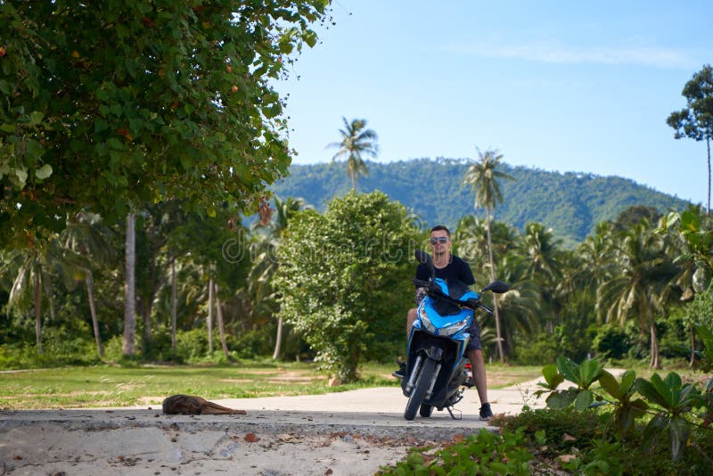 A Guy on a Motorcycle Looks at Dog Sleeping in the Shade of a Tree on ...