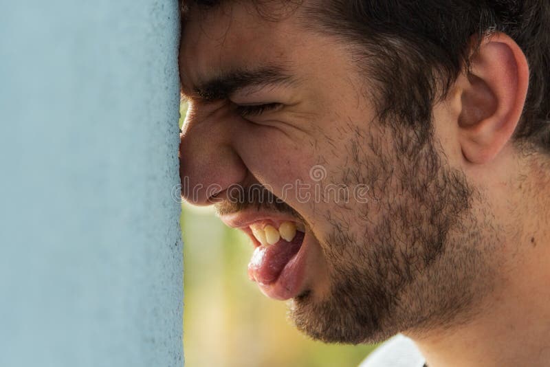 Losing faith in the desert stock photo. Image of coyote - 10940402