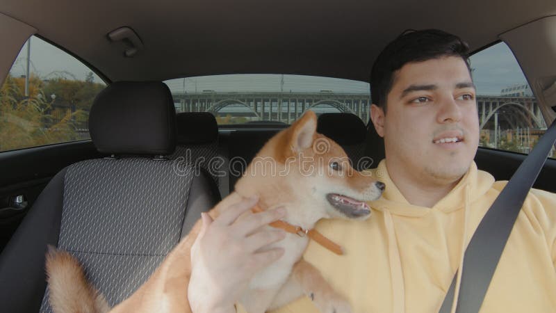 A Guy Rides in a Car with a Dog. People and Animals Ride in a Car Stock ...