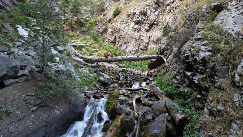 The Guy is Sitting on a Big Tree Above the River. Stock Image - Image ...