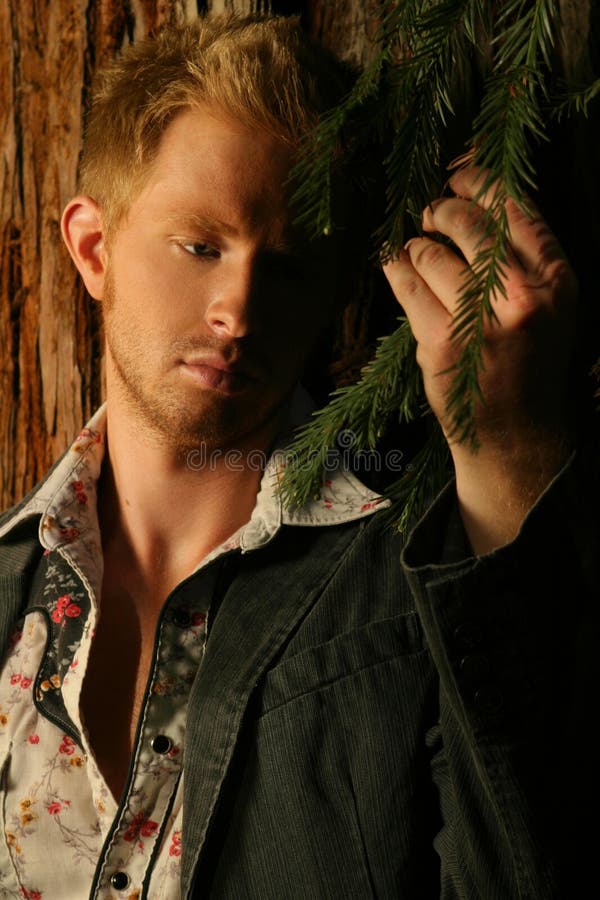 Guy by tree stock image. Image of nature, caucasian, darkness - 6572273