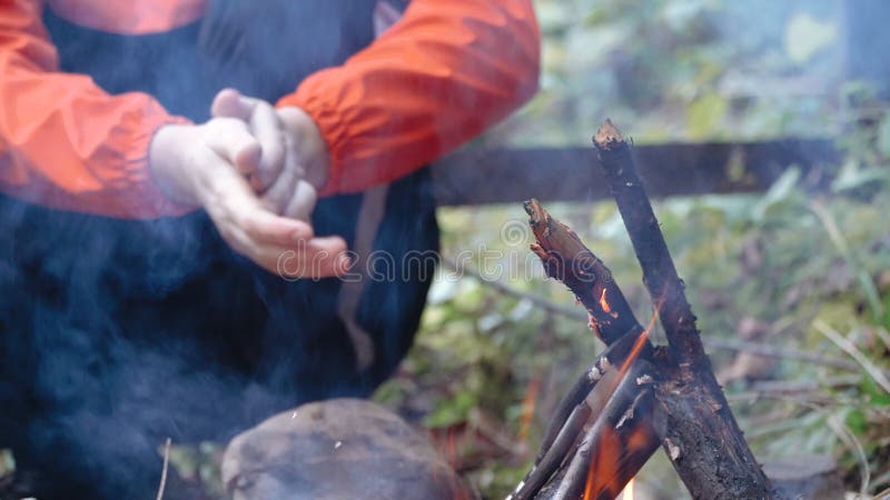 Guy Warms His Hands by the Fire, Surrounded by Forest. Camp Concept in ...