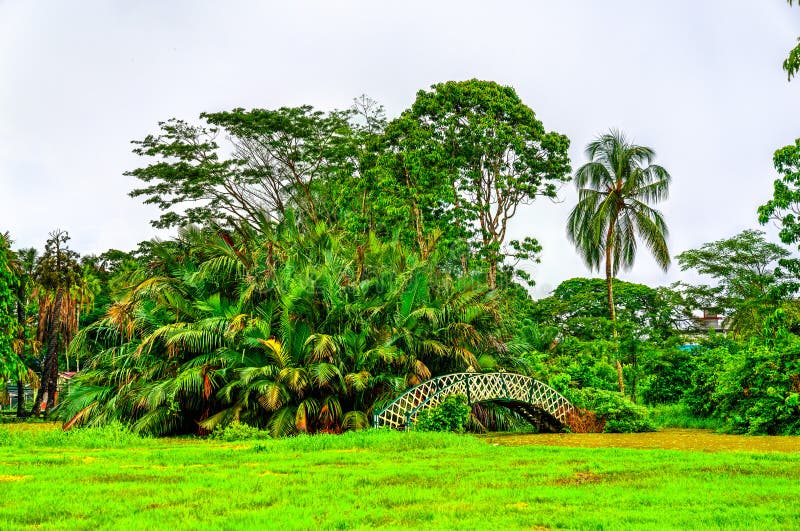 Guyana Botanical Gardens in Georgetown Stock Photo - Image of ...