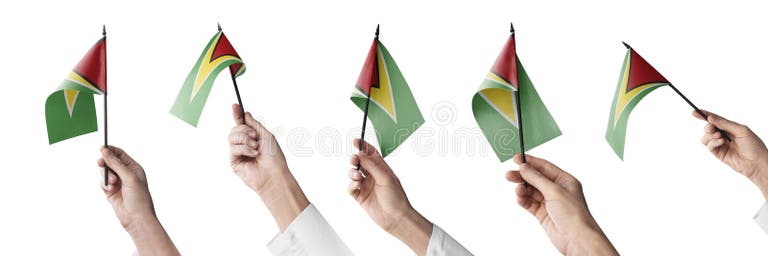 The Guyana Flag in Hand in Different Angles on a White Background Stock ...
