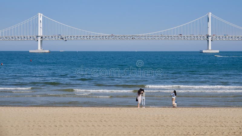 Gwangalli Beach and Diamond Bridge in Busan South Korea Editorial Stock ...