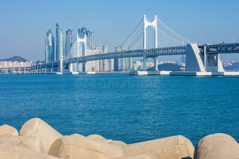 Gwangan Bridge and Haeundae in Busan. Stock Image - Image of city ...