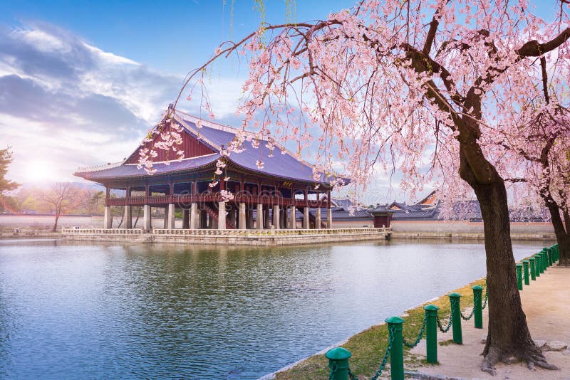 Gyeongbokgung Palace in Spring South Korea. Stock Image - Image of ...