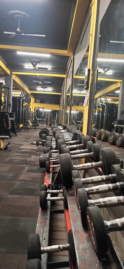 Gym Dumbbell Rack stock photo. Image of gymnasium, weight - 263318968