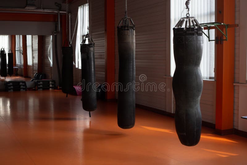 Gym with Four Punching Bags of Various Types Stock Image - Image of ...
