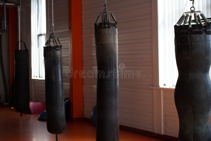Gym with Four Punching Bags of Various Types Stock Photo - Image of ...