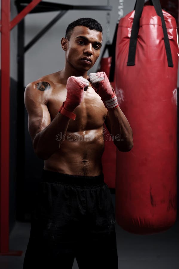 Gym portrait stock image. Image of athlete, body, natural - 23112157