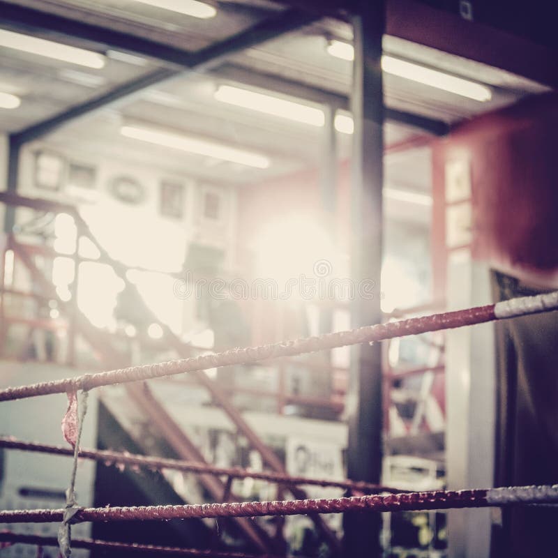 Gym Seen through Boxing Ring Stock Image - Image of speed, fight: 390282407