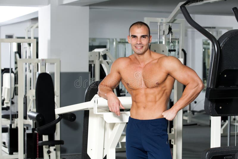 Gym training stock image. Image of sport, healthy, athlete - 17800633
