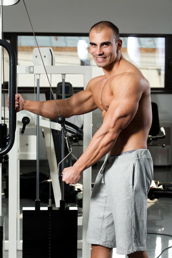 Gym training stock image. Image of exercise, muscular - 17801491