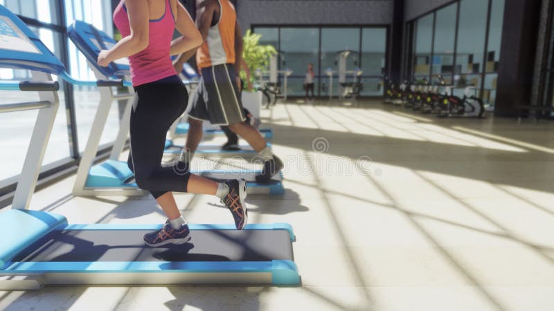 Gym with Various Exercise Machines in it and People Walking on ...
