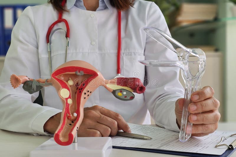 Gynecological Instrument in the Hands of a Doctor. Expander Mirror for ...