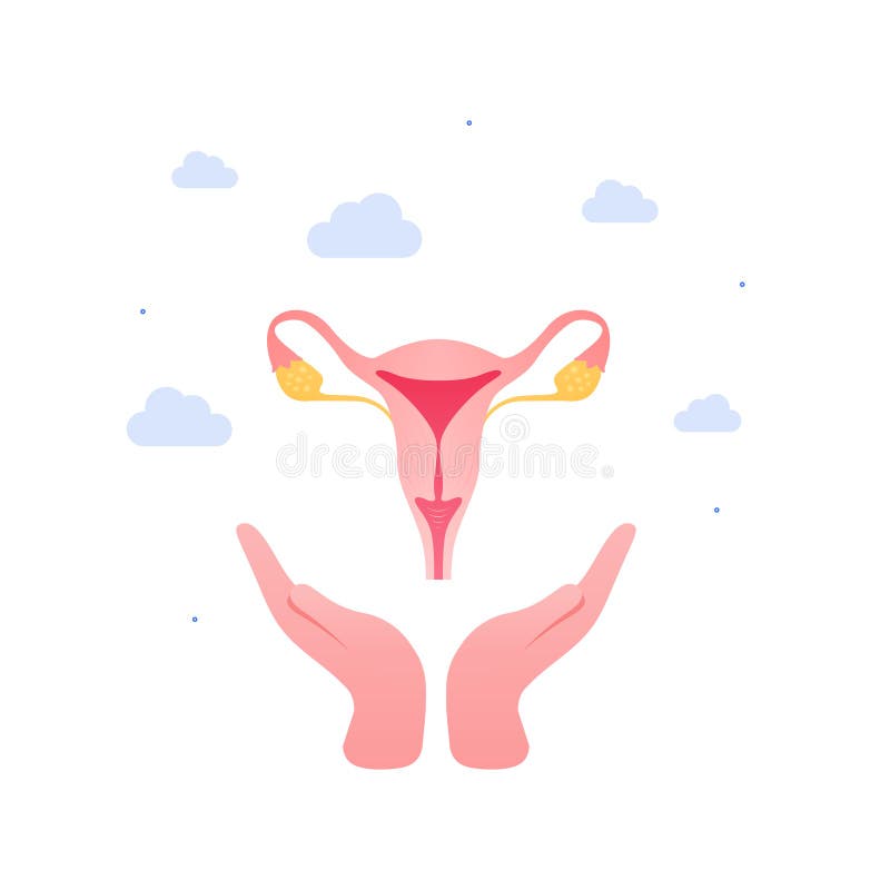 Human Reproductive System Anatomy Inforgaphic Chart Vector Flat