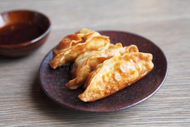 Gyoza on a Plate, Japanese Food Appetizer Stock Image - Image of japan ...