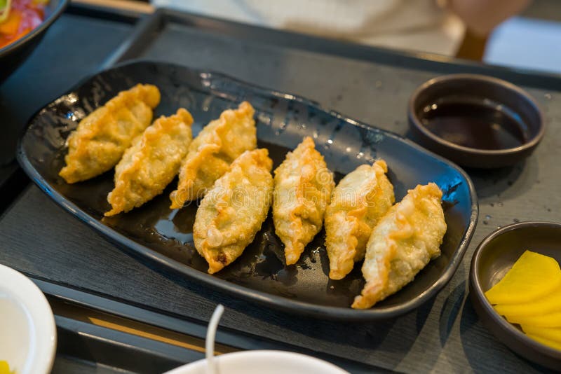Gyoza in black dish stock photo. Image of meat, gyoza - 263296472