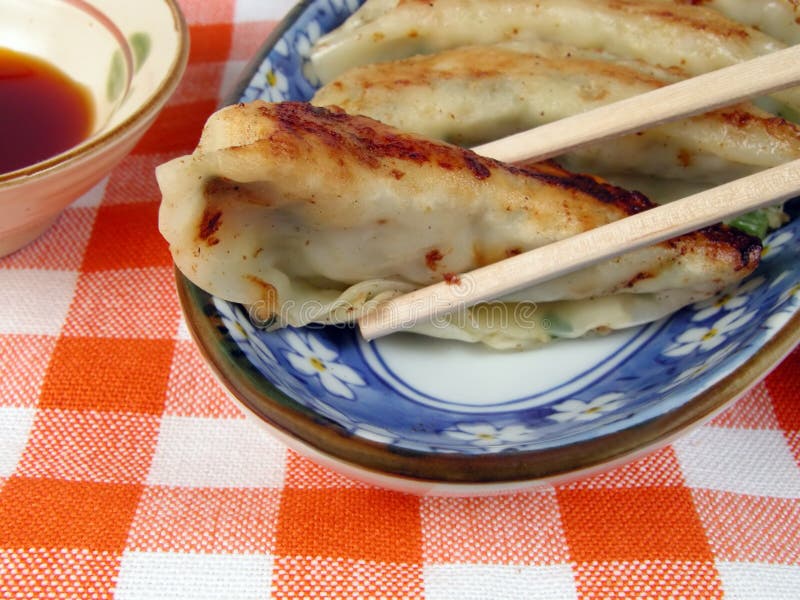 Gyoza-close-up stock image. Image of detail, kitchen, china - 603397