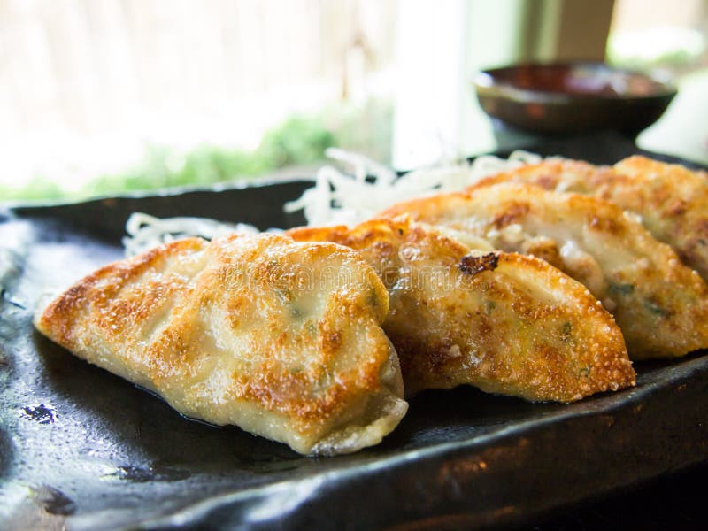 Gyoza stock photo. Image of appetizer, food, yummy, hungry - 33100352