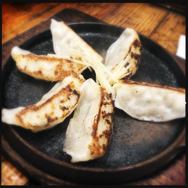 Gyoza dumplings stock photo. Image of starter, wooden - 165671536