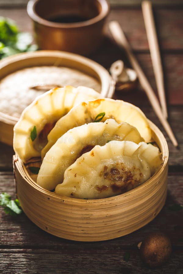 Gyoza, Japanese Dim Sum stock image. Image of dinner - 109635391