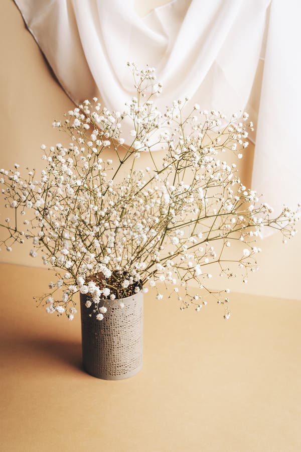 Gypsophila Flowers in Vase on Beige Table. Still Life Stock Photo ...