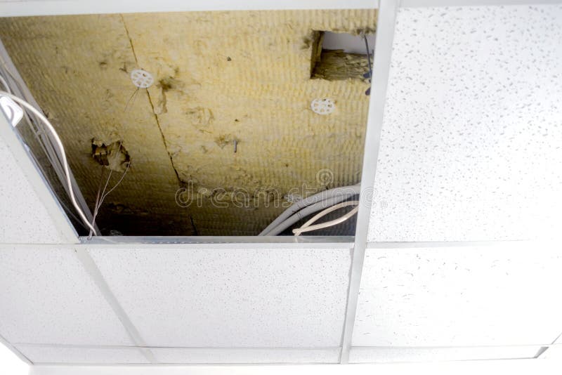 Ceiling plate stock photo. Image of design, floral, smoothing - 25258414