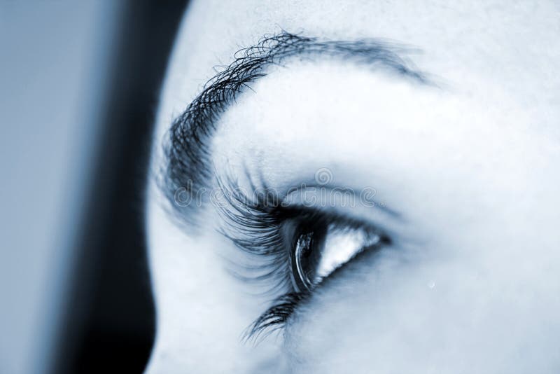 Blue eye stock photo. Image of body, lashes, eyebrow, night - 1300918