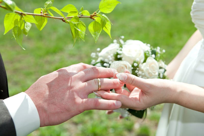 Hände mit Ringen stockfoto. Bild von nana, hand, menschlich - 19463042